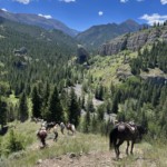 Photo/Video - 7D Ranch